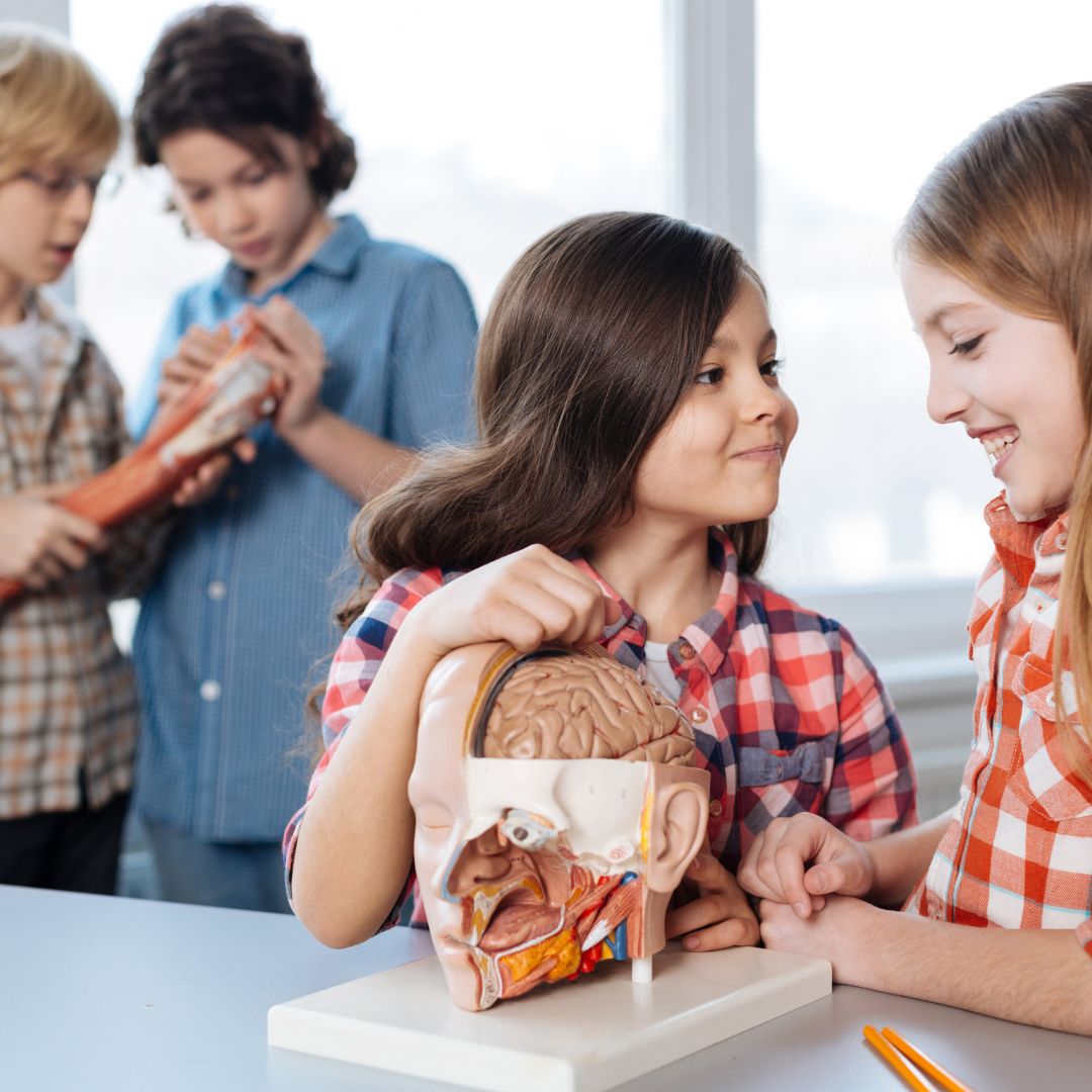 Embarking on the Project-Based Learning Journey: An Introduction to PBL ...